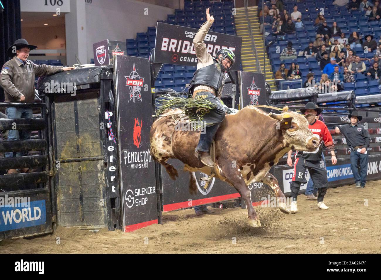 Bridgeport, United States. 01st Mar, 2025. Ramon De Lima rides Cojo ...