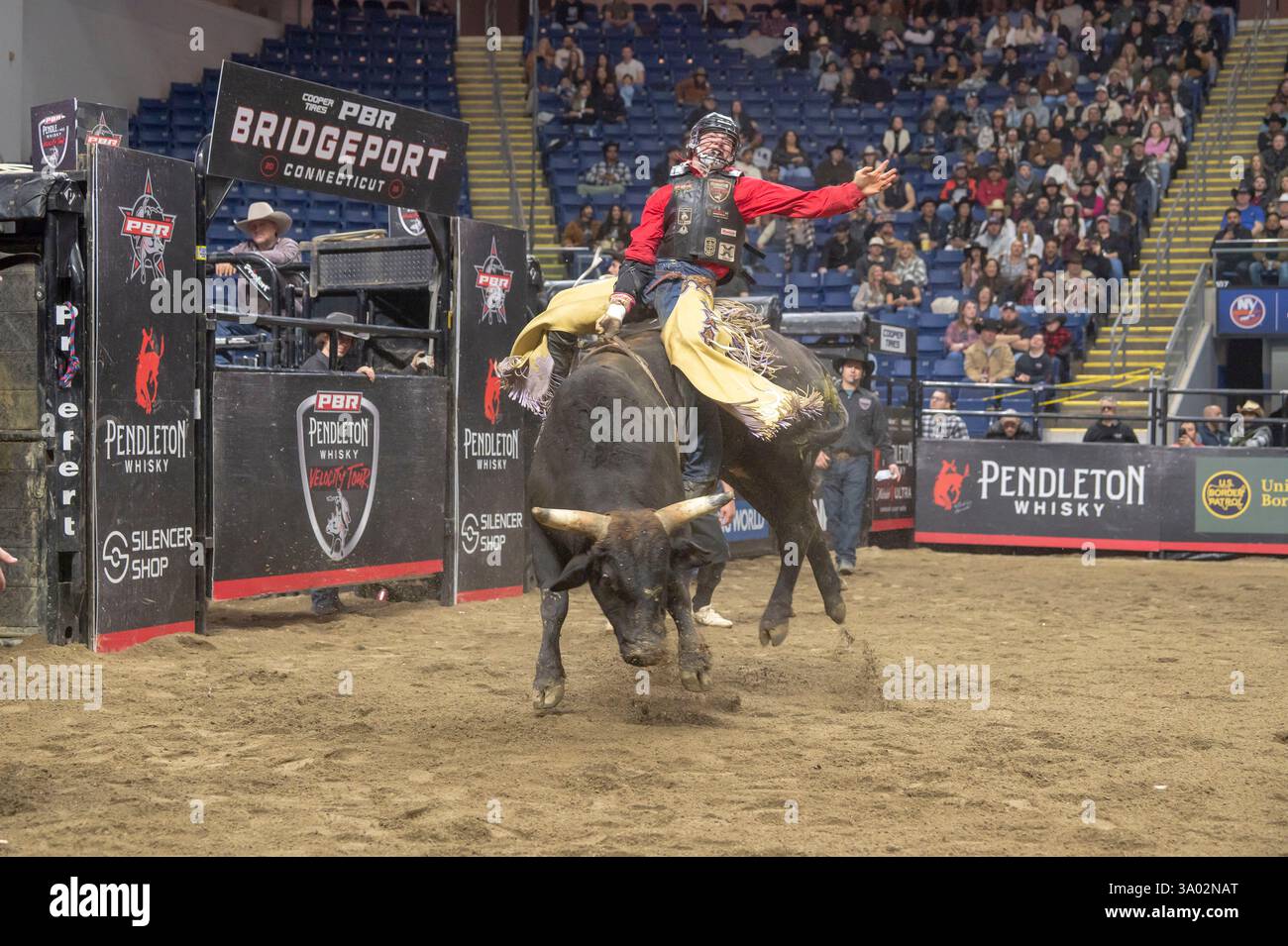 Grayson Cole rides Squealin' Kitty during the Professional Bull Riders ...
