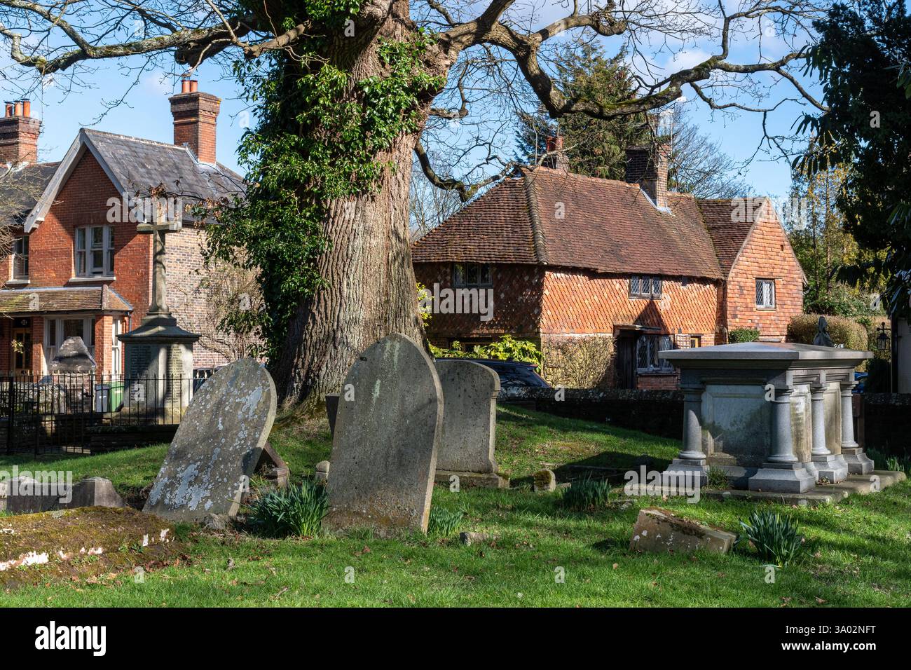 March 1st, 2025. Charlwood village near Gatwick, Surrey, England, UK ...