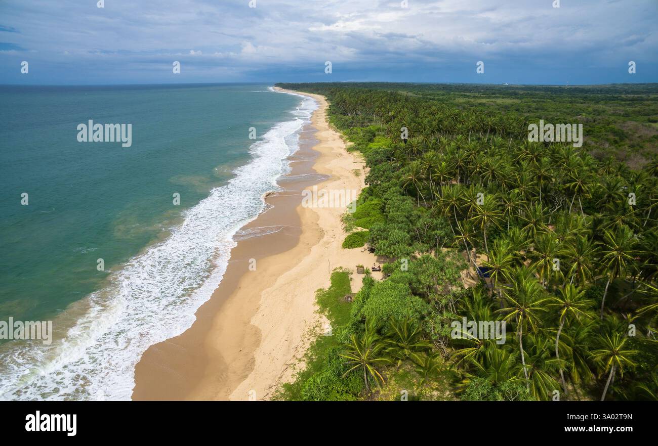 Aerial view of tropical beach lined with lush greenery and ocean waves ...