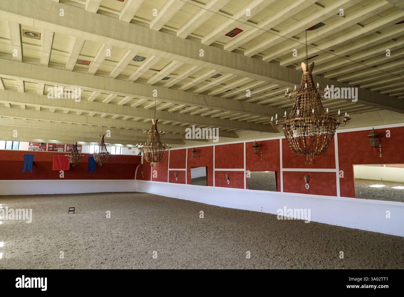 Royal cavalry master hi-res stock photography and images - Alamy