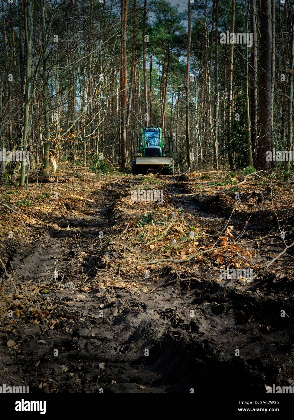A Bulldozer has caused soil damage and compaction with its tire marks ...