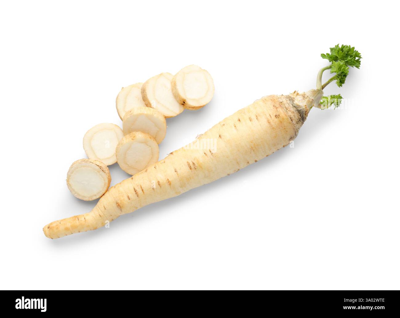 Whole and cut fresh parsley roots isolated on white, top view Stock ...