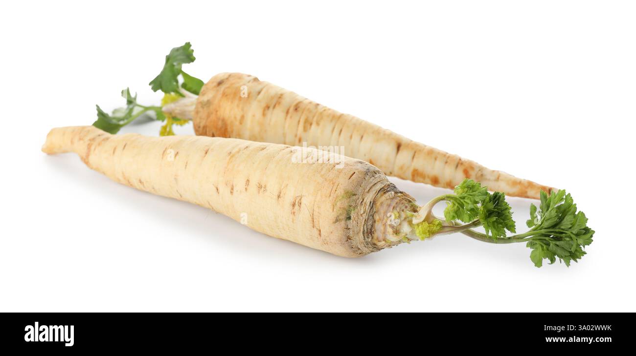 Two fresh parsley roots isolated on white Stock Photo - Alamy