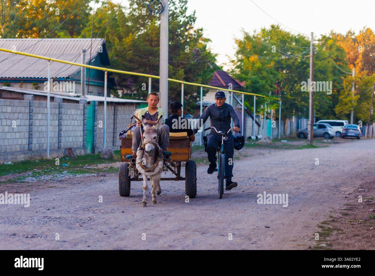 Donkey cart driver on hi-res stock photography and images - Alamy