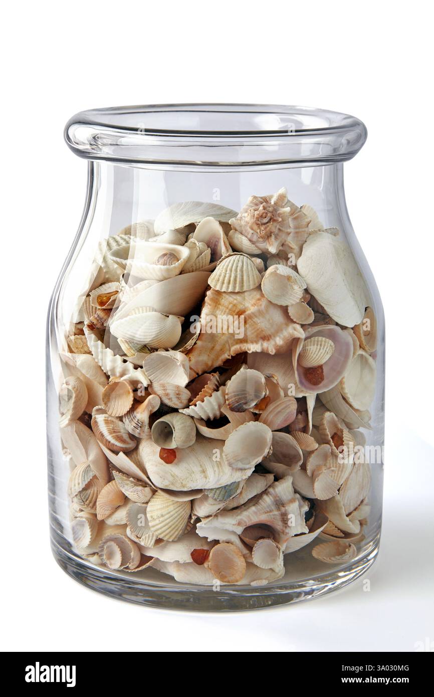 glass decorative jar with different shells and pebbles isolated on ...