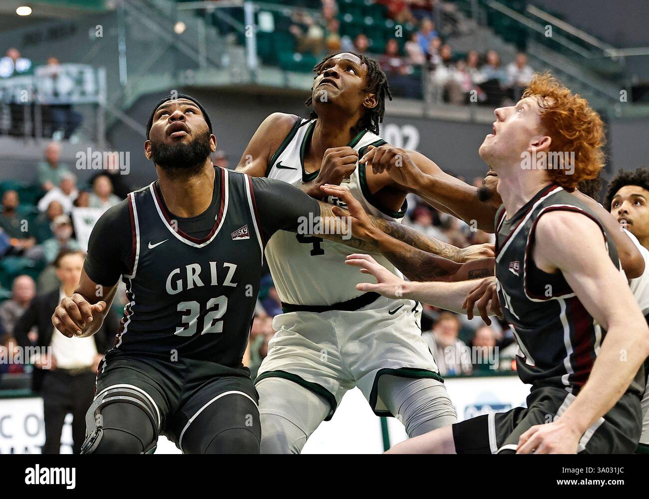 Stott Center, Portland, OR, USA. 01st Mar, 2025. Montana Grizzlies ...