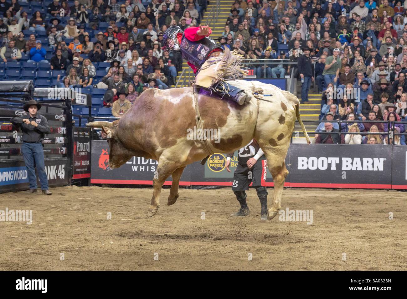 March 1, 2025, Ponte Do Porto, Connecticut, Estados Unidos: (novo) 2025 ...