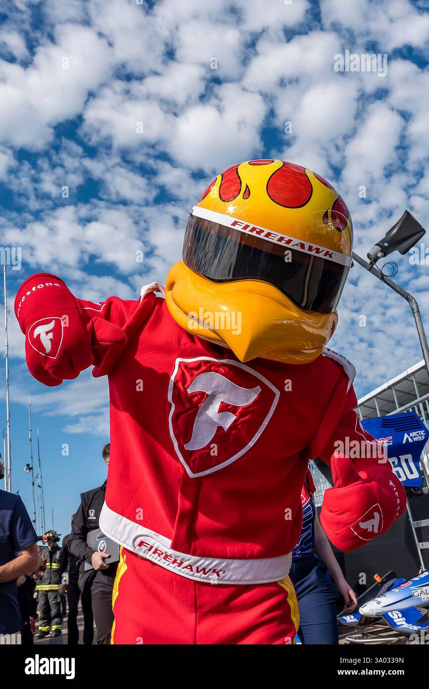 Mar 01, 2025-St. Petersburg, FL; Firestone’s mascot, Firehawk, poses ...