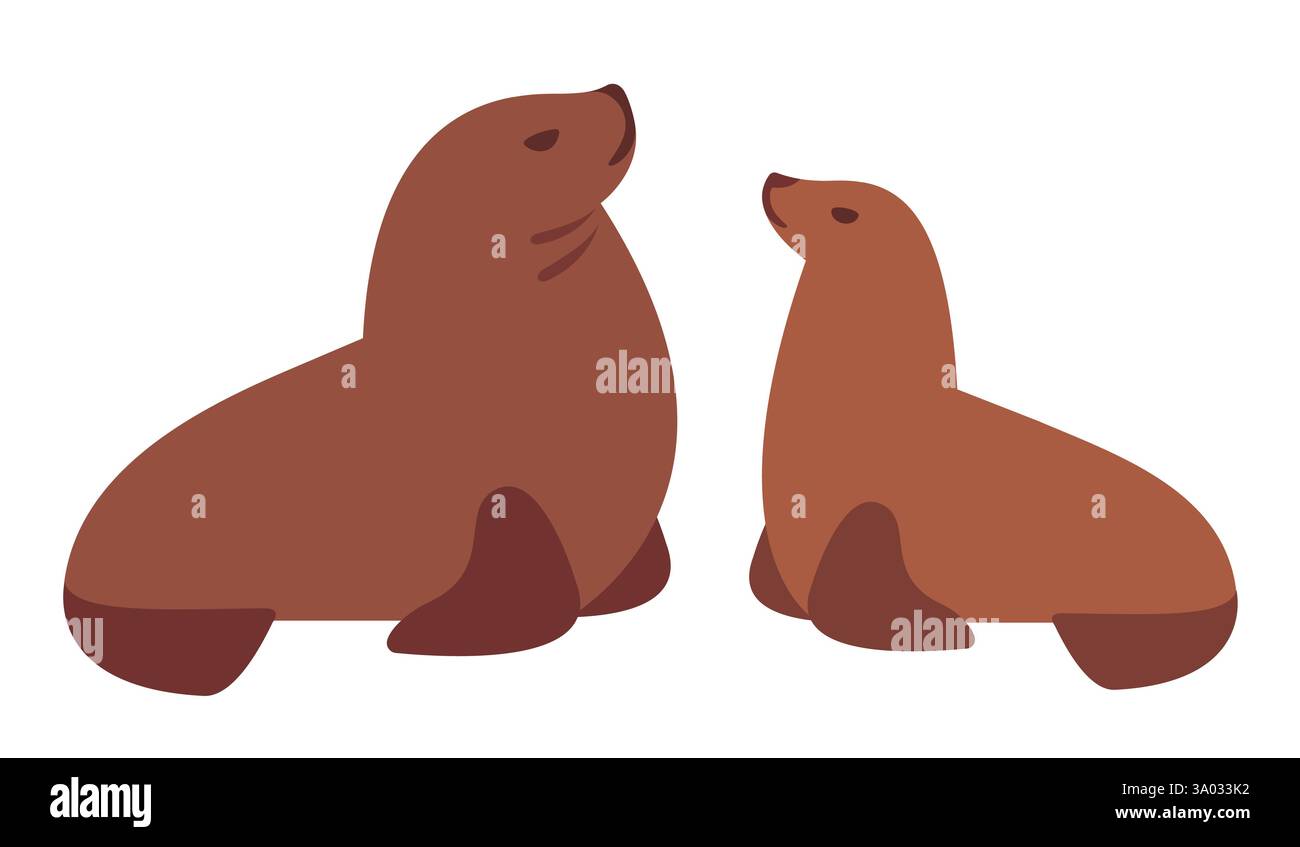 Male and female South American (Patagonian) sea lion, or Lobo Marino ...