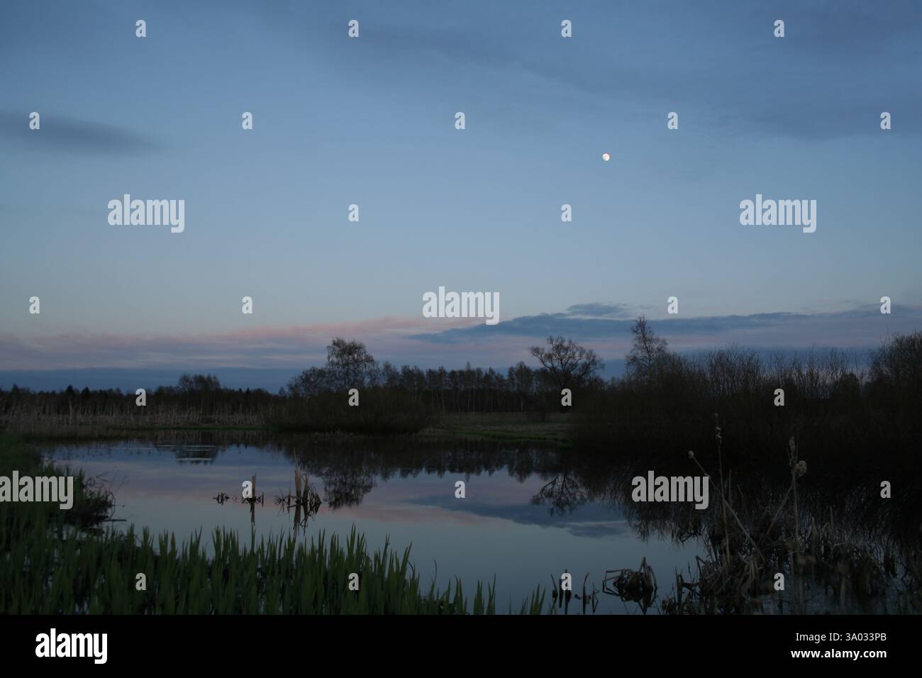A serene moonlit night over a calm pond, with tree reflections and soft ...