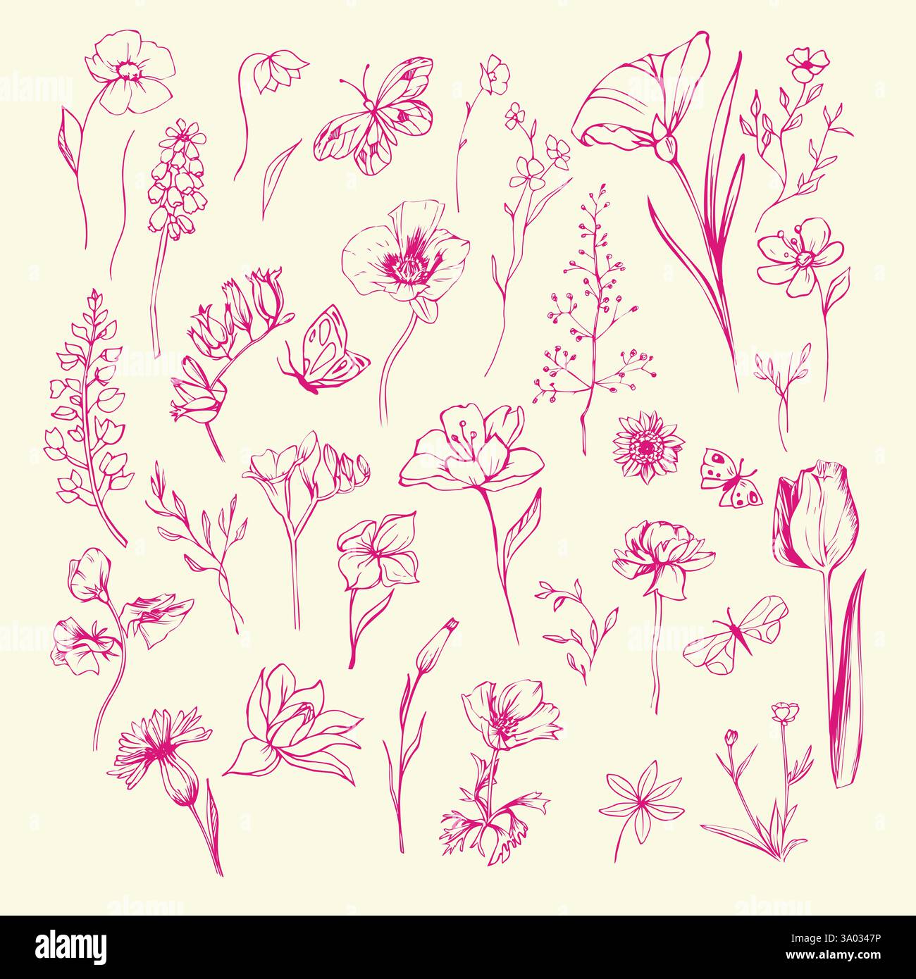 Collection spring flowers design Stock Vector Images - Alamy