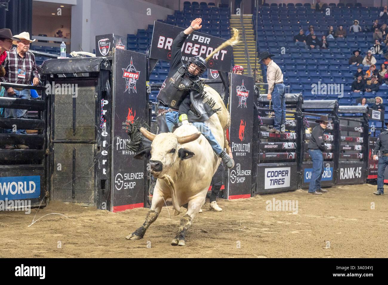 Bridgeport, United States. 01st Mar, 2025. Cody McCandless rides Bruno ...