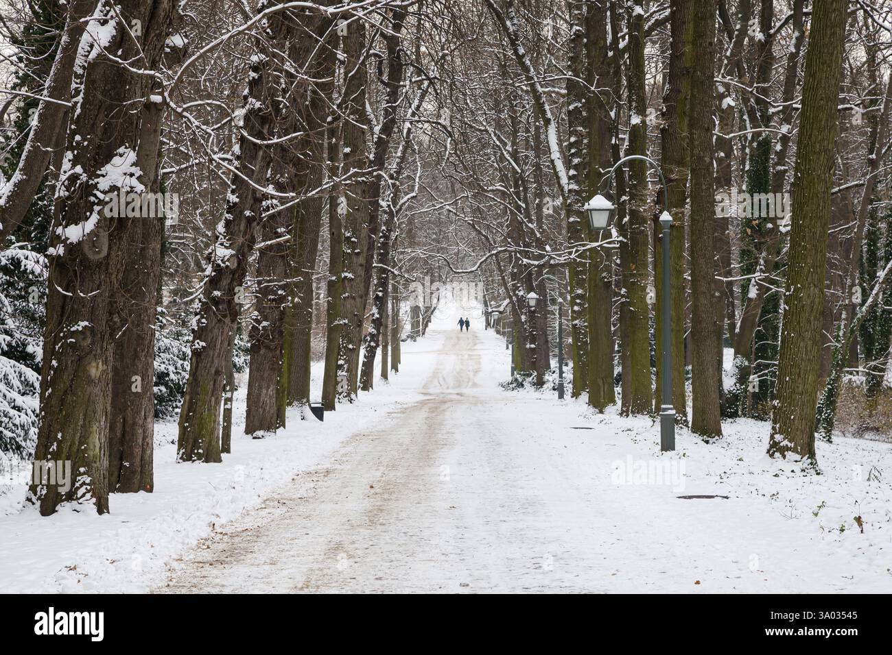 Warsaw park path hi-res stock photography and images - Alamy