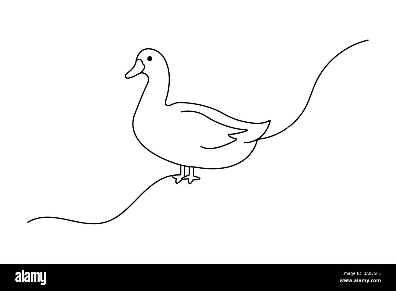 Duck continuous one line drawing with outline vector illustration Stock ...