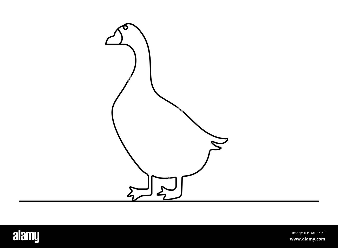Duck continuous one line drawing with outline vector illustration Stock ...