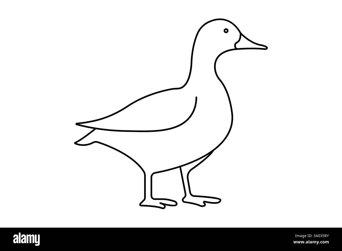 Duck continuous one line drawing with outline vector illustration Stock ...