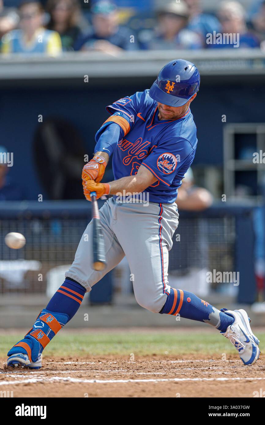 Port Charlotte, FL USA; New York Mets second baseman Donovan Walton (83 ...