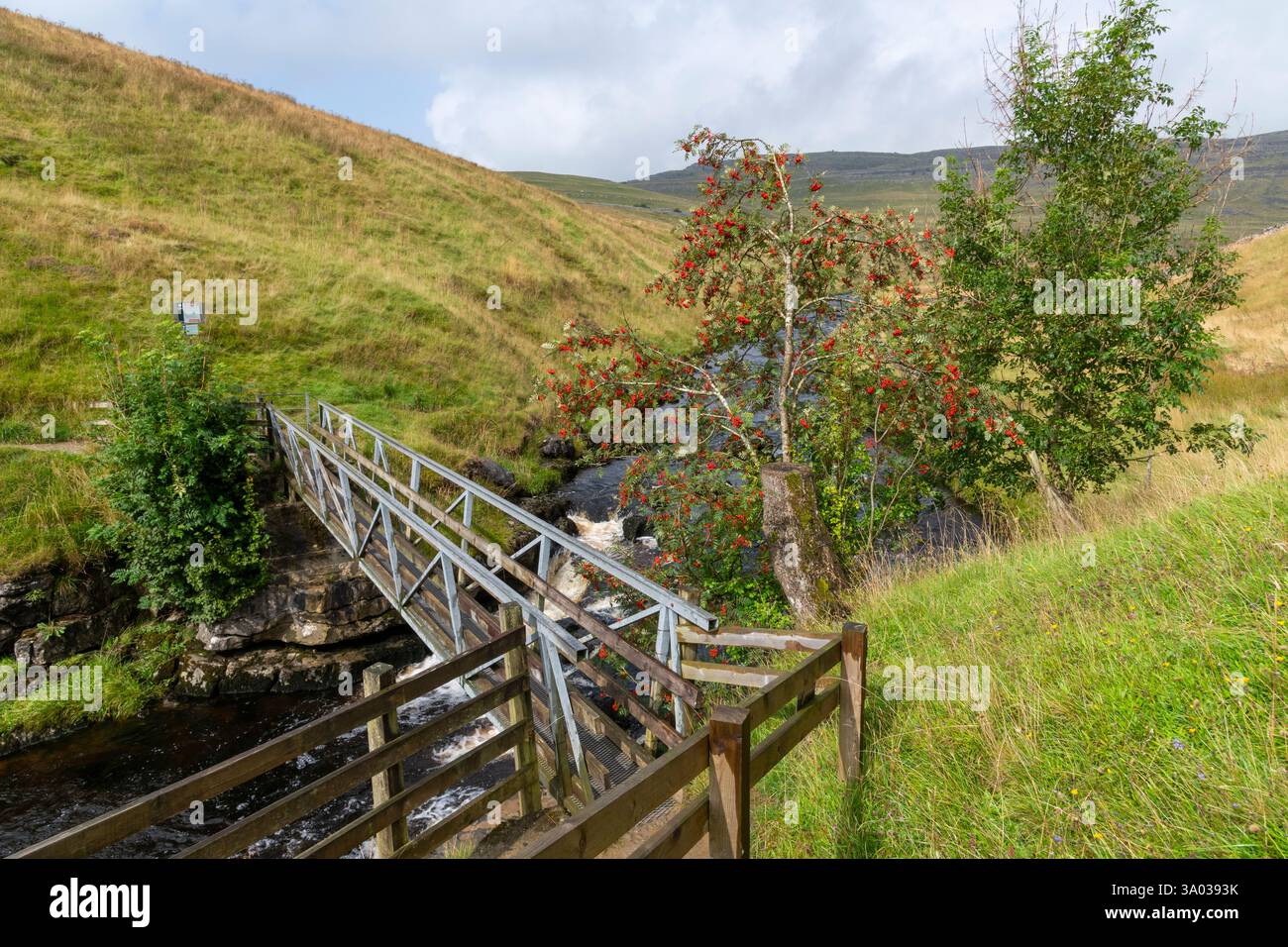 Scene on the Ingleton waterfalls trail in the Yorkshire Dales, England ...