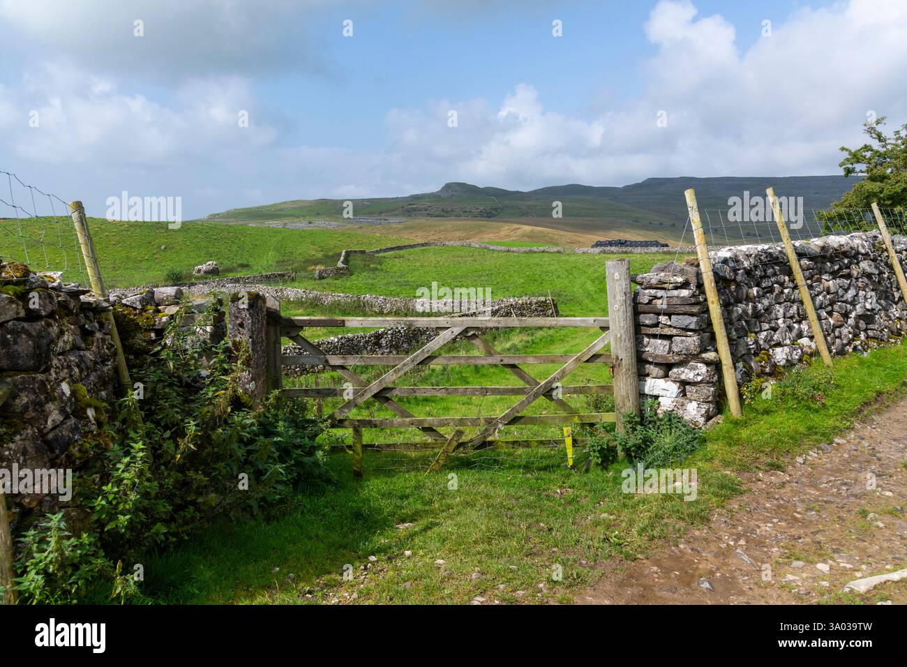 Scene on the Ingleton waterfalls trail in the Yorkshire Dales, England ...