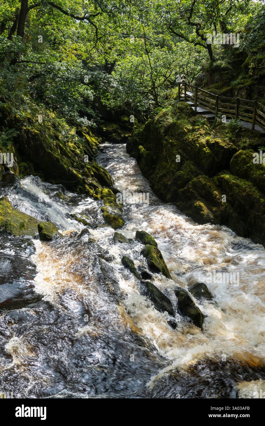 Scene on the Ingleton waterfalls trail in the Yorkshire Dales, England ...
