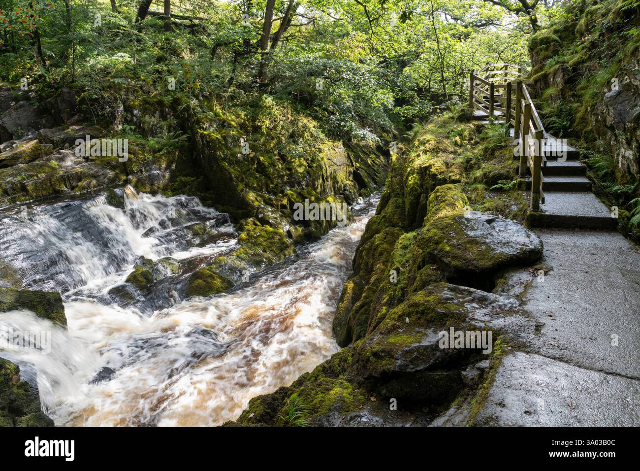 Scene on the Ingleton waterfalls trail in the Yorkshire Dales, England ...