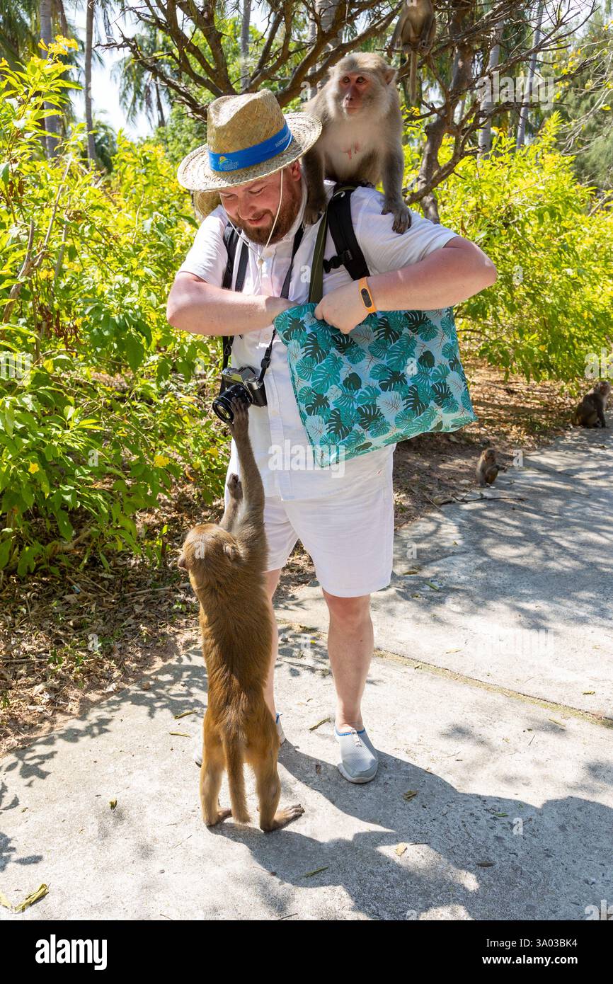 A monkey sits on a man's shoulder and waits for food. Another monkey ...