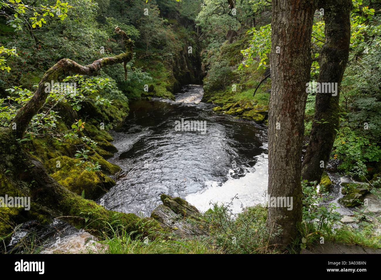 Scene on the Ingleton waterfalls trail in the Yorkshire Dales, England ...