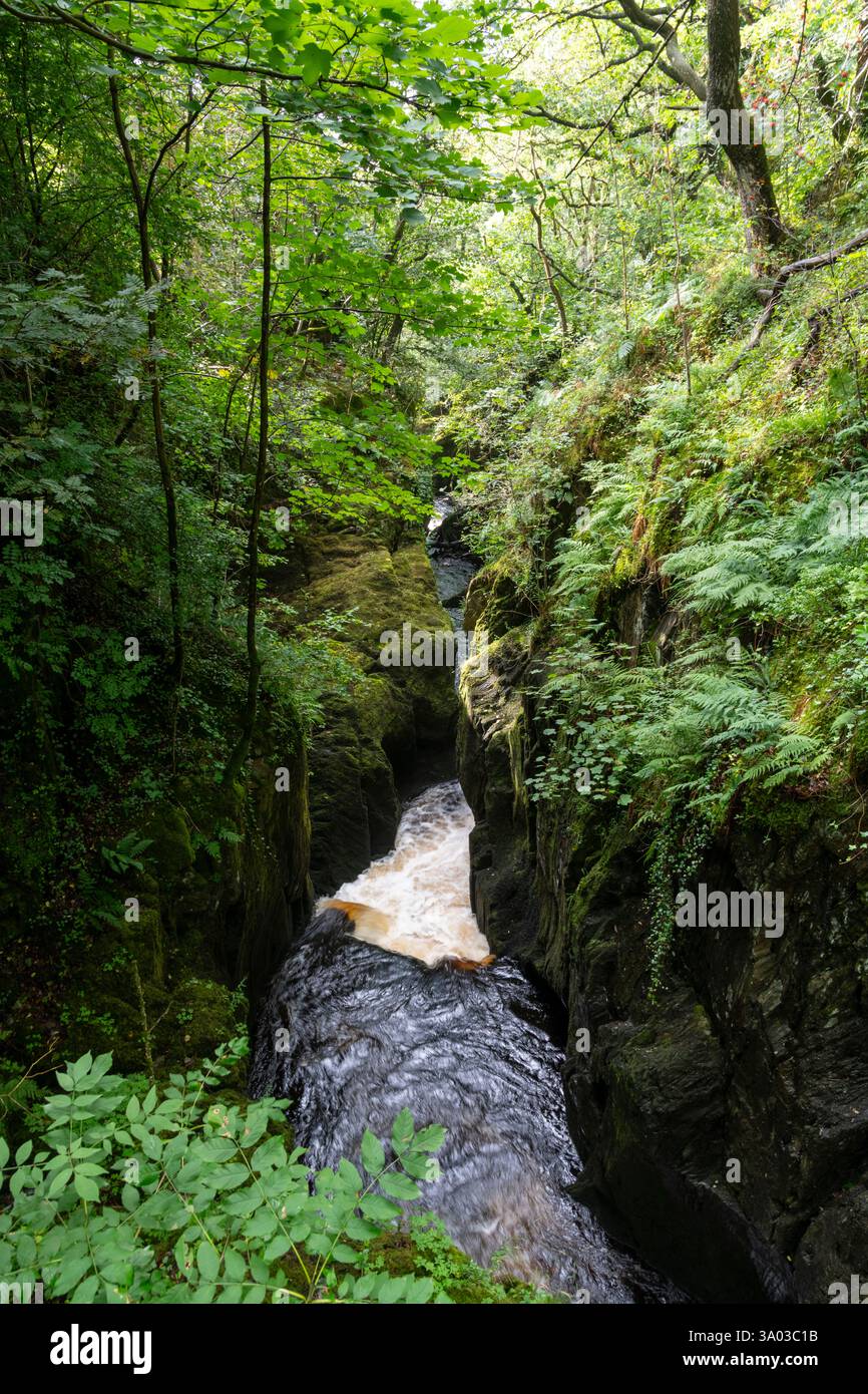 Scene on the Ingleton waterfalls trail in the Yorkshire Dales, England ...