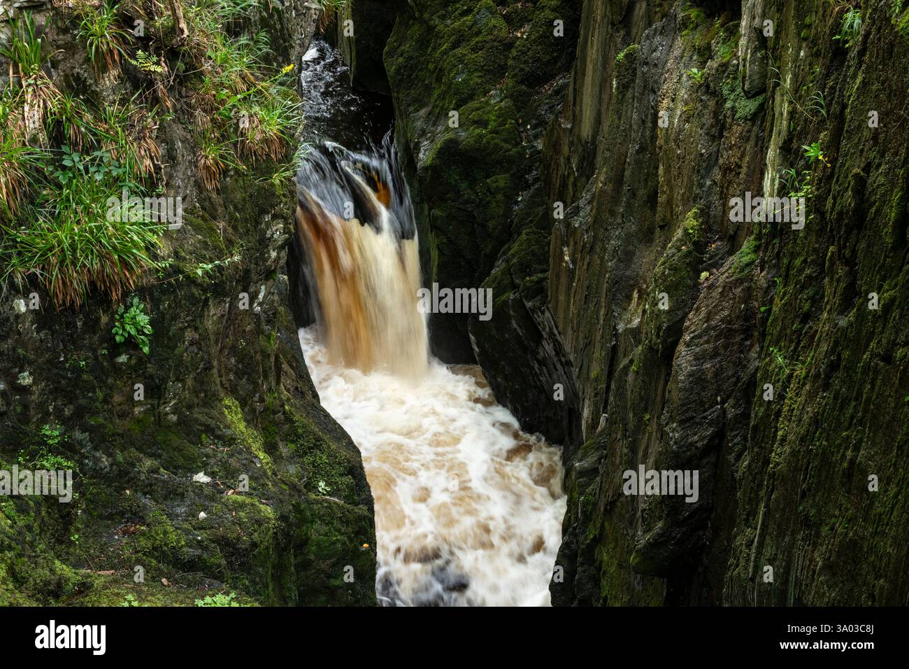 Scene on the Ingleton waterfalls trail in the Yorkshire Dales, England ...