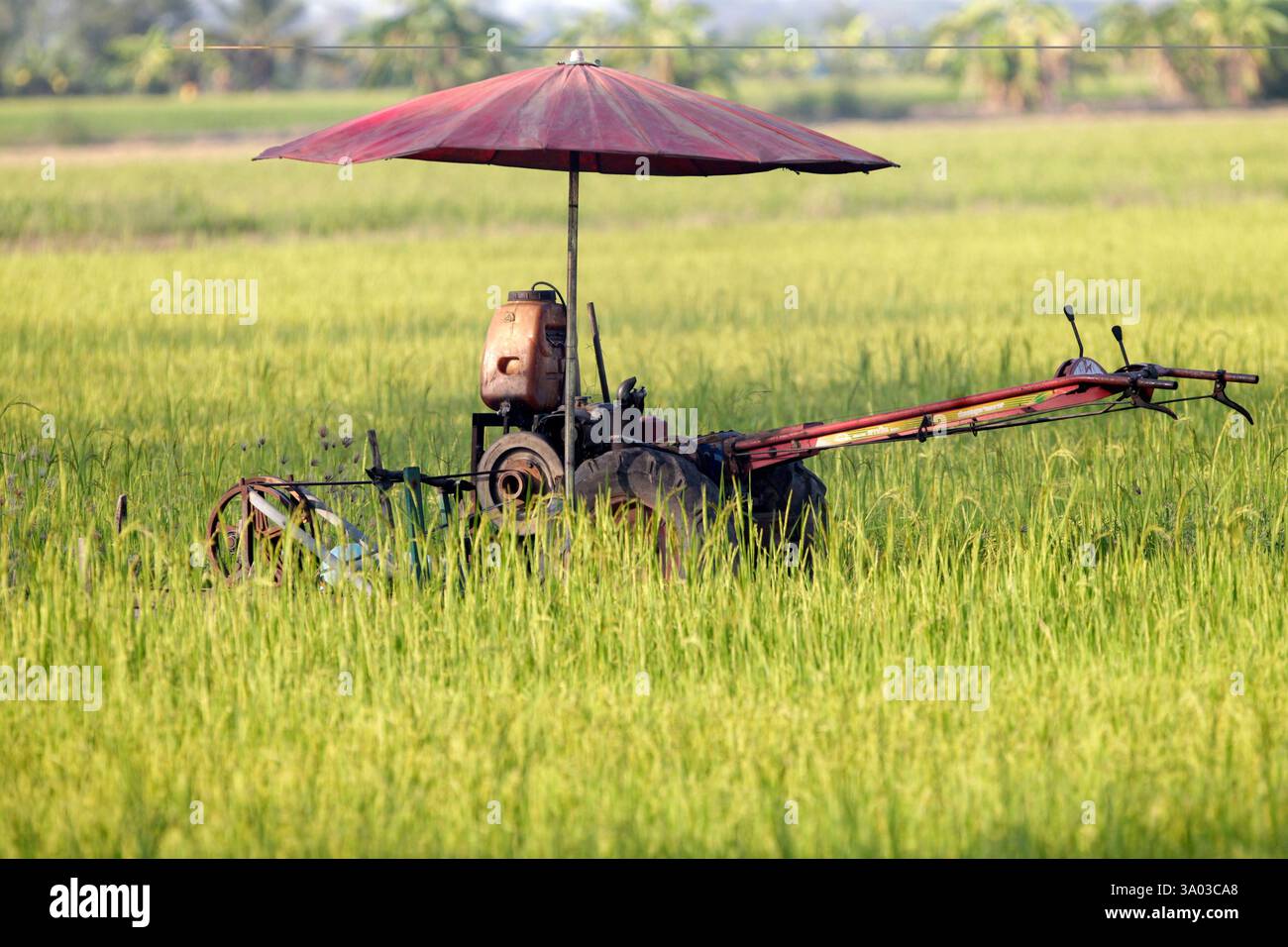 Nakhon Sawan, Thailand. 2nd Mar, 2025. A motorised plough seen in a ...