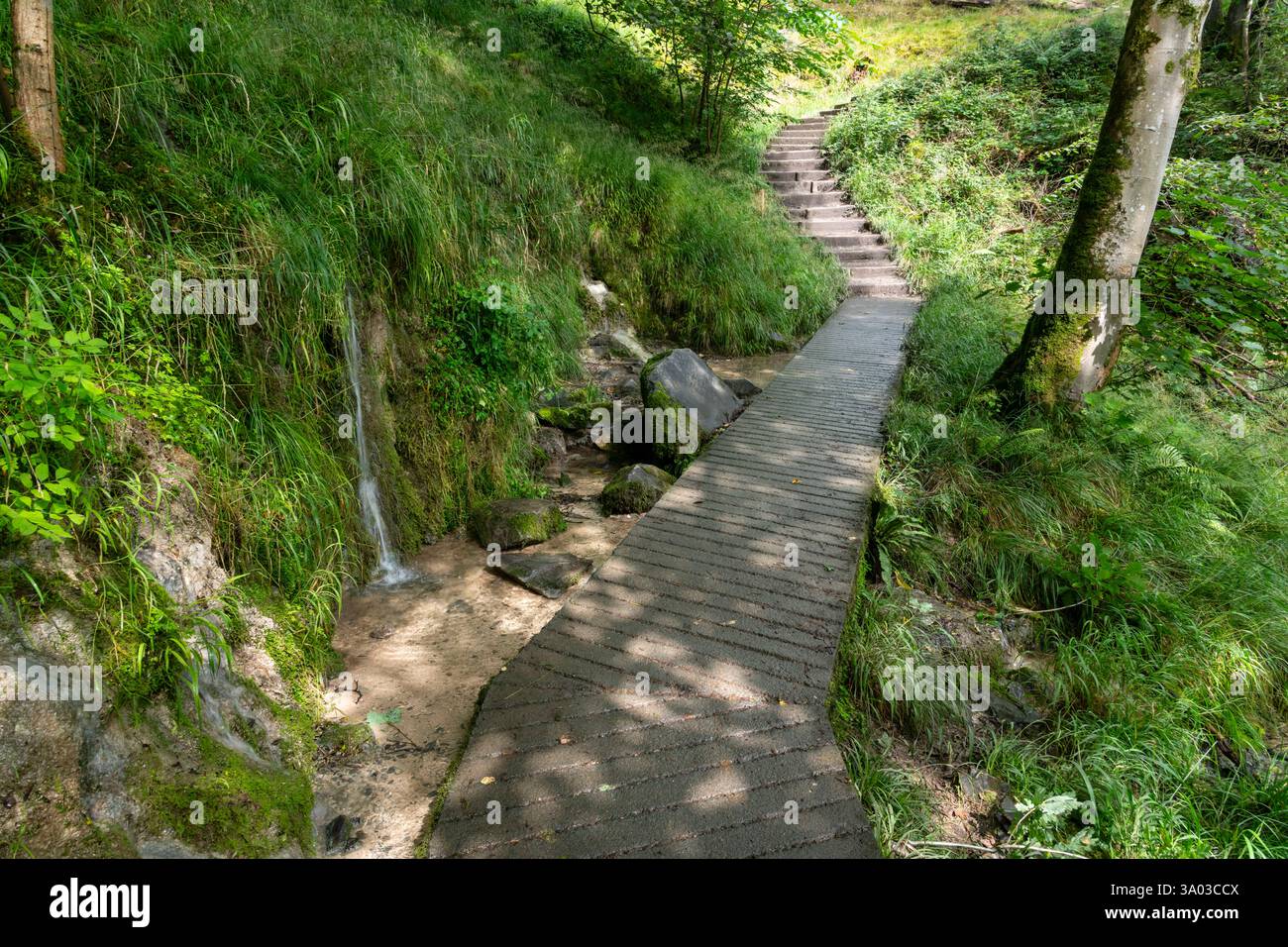 Scene on the Ingleton waterfalls trail in the Yorkshire Dales, England ...
