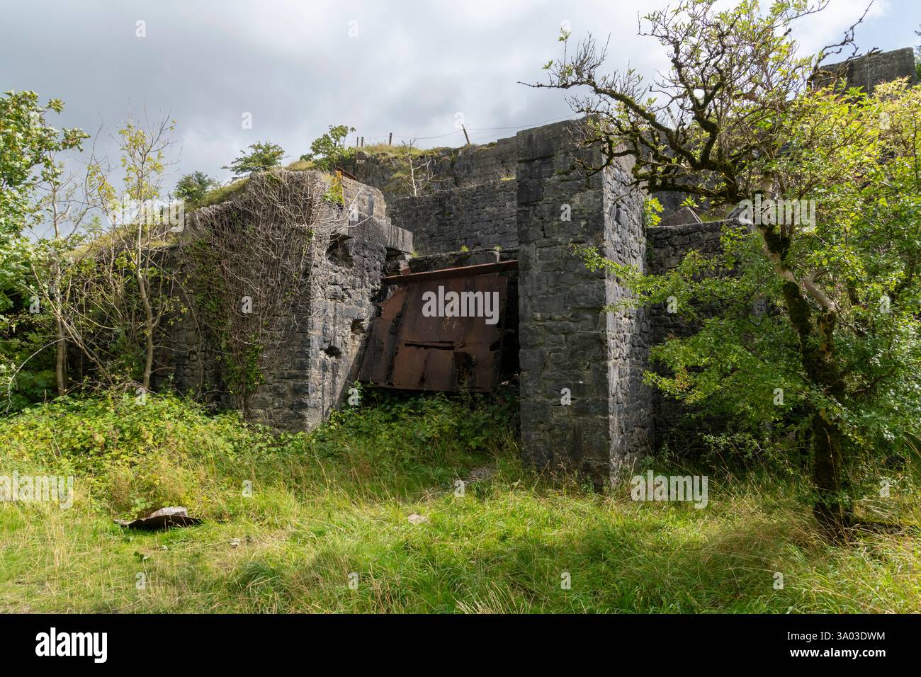 Scene on the Ingleton waterfalls trail in the Yorkshire Dales, England ...