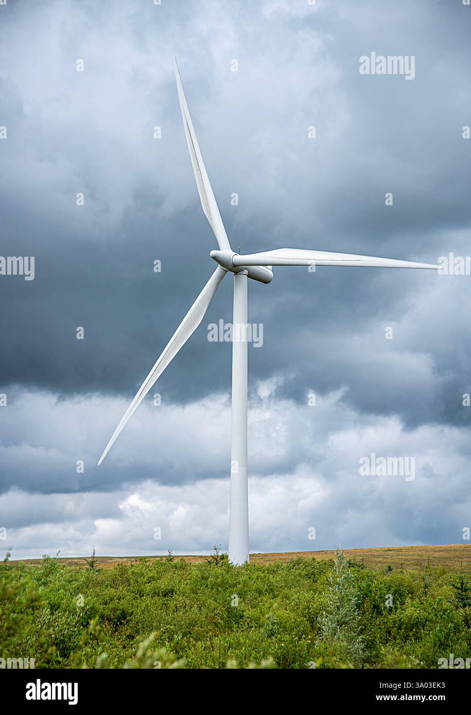 Landscape photography of wind turbine; windmill; wind power; power ...