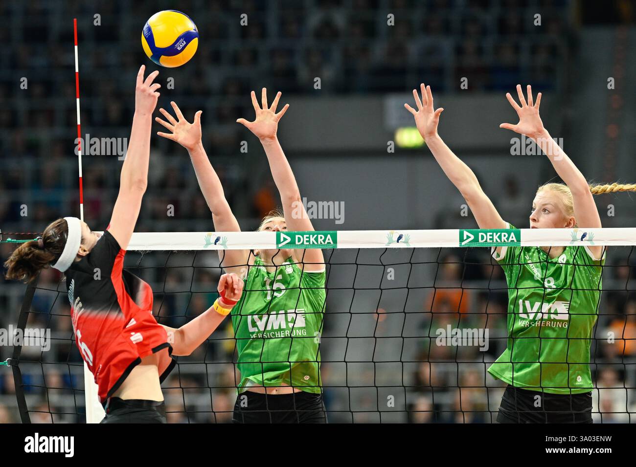 02 March 2025, Baden-Württemberg, Mannheim: Volleyball, Women: DVV Cup ...