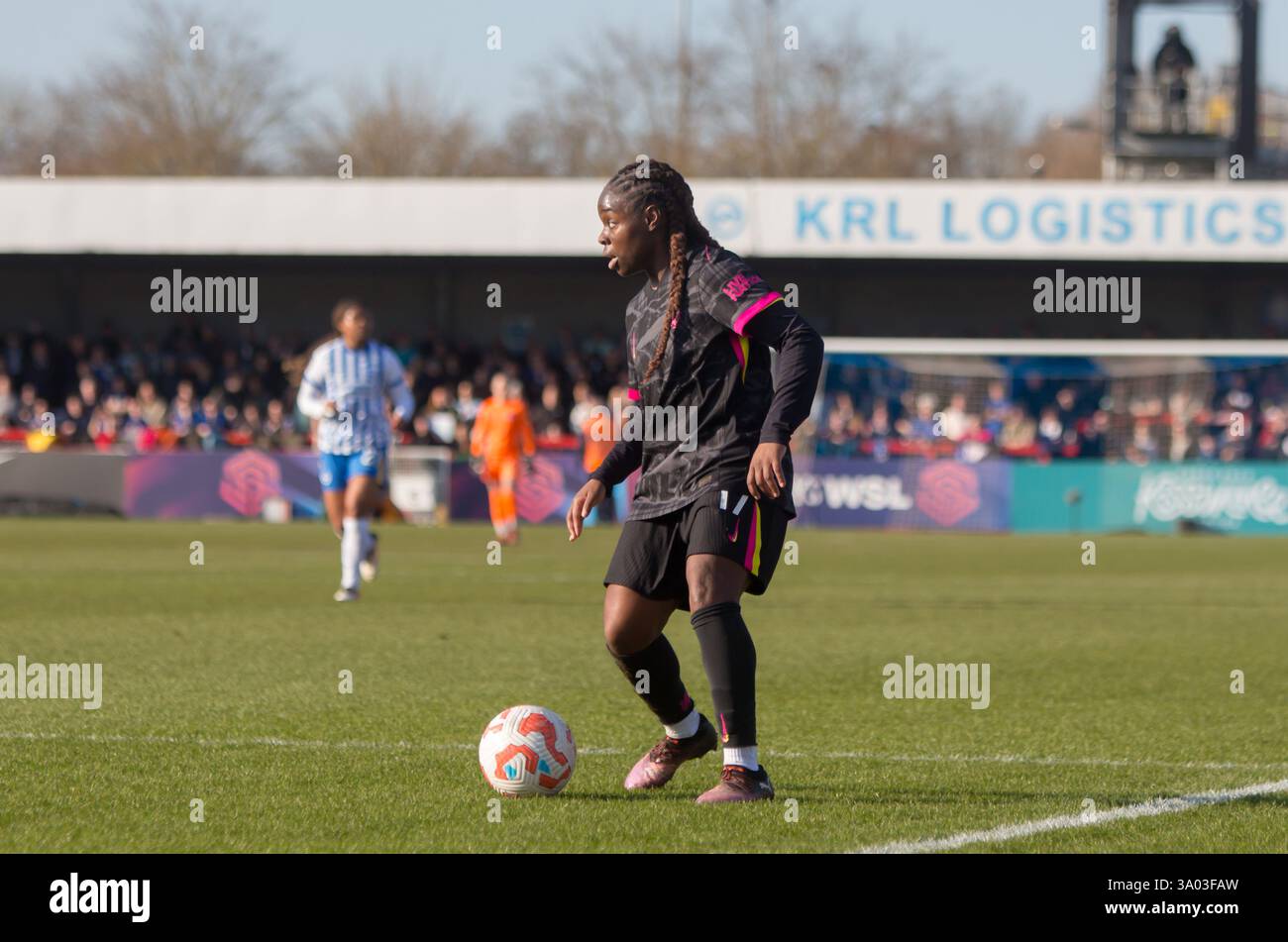 Crawley, UK. 02nd Mar, 2025. Crawley, England, March 2nd 2025 Sandy ...