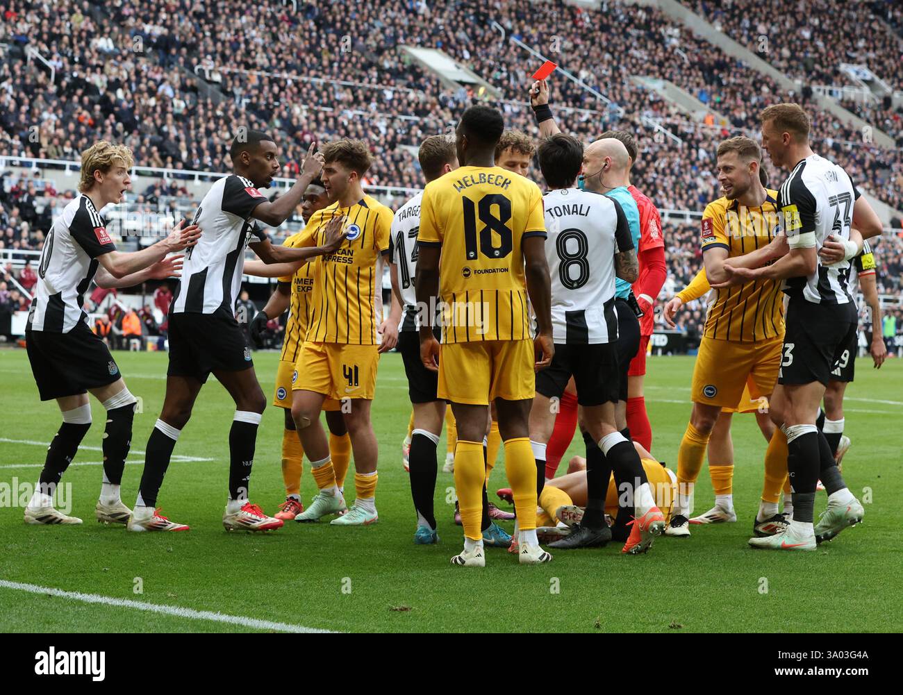 Newcastle Upon Tyne, UK. 2nd Mar, 2025. Anthony Gordon (L) of Newcastle ...