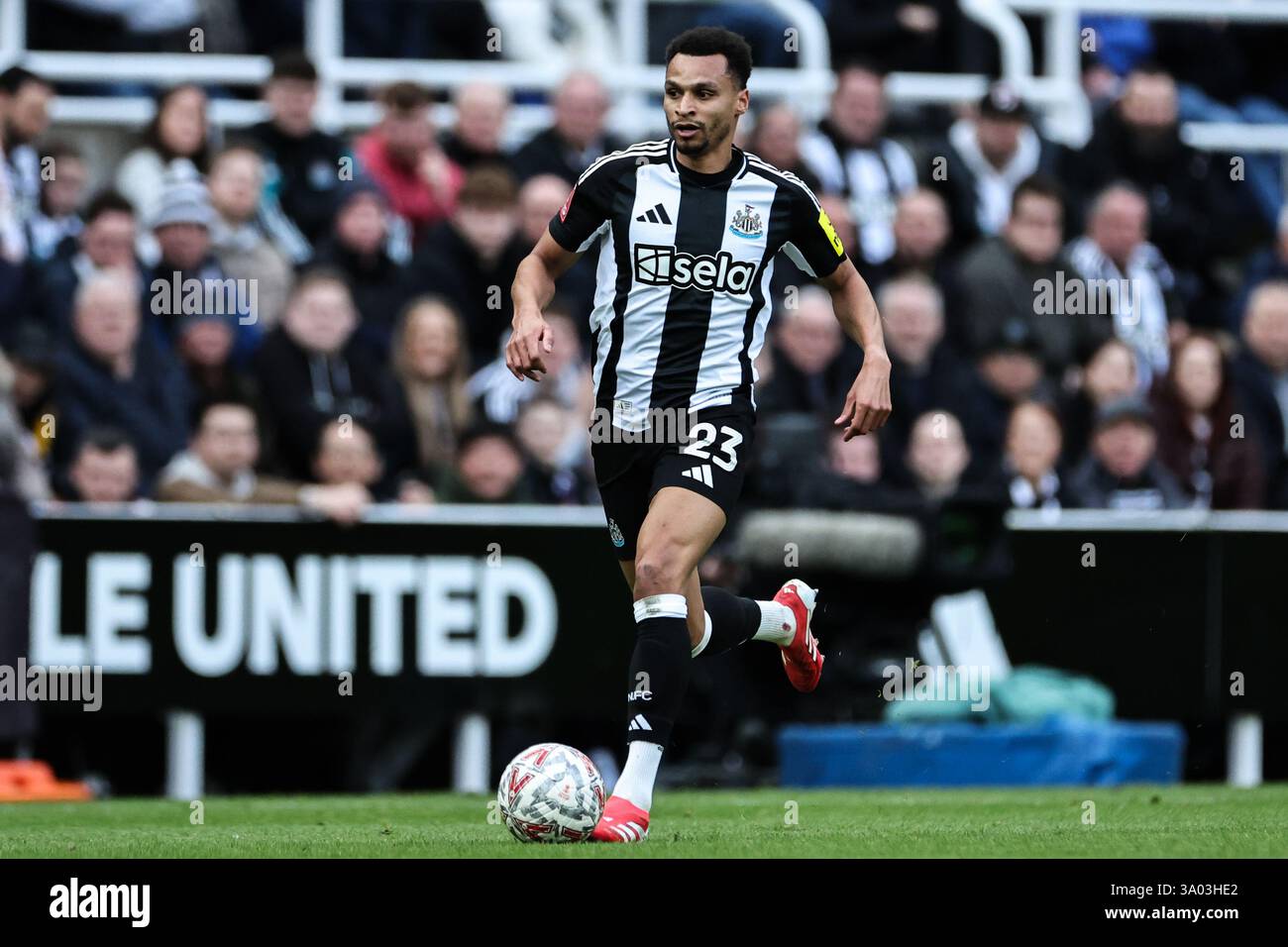 Newcastle, UK. 02nd Mar, 2025. Jacob Murphy of Newcastle United goes ...