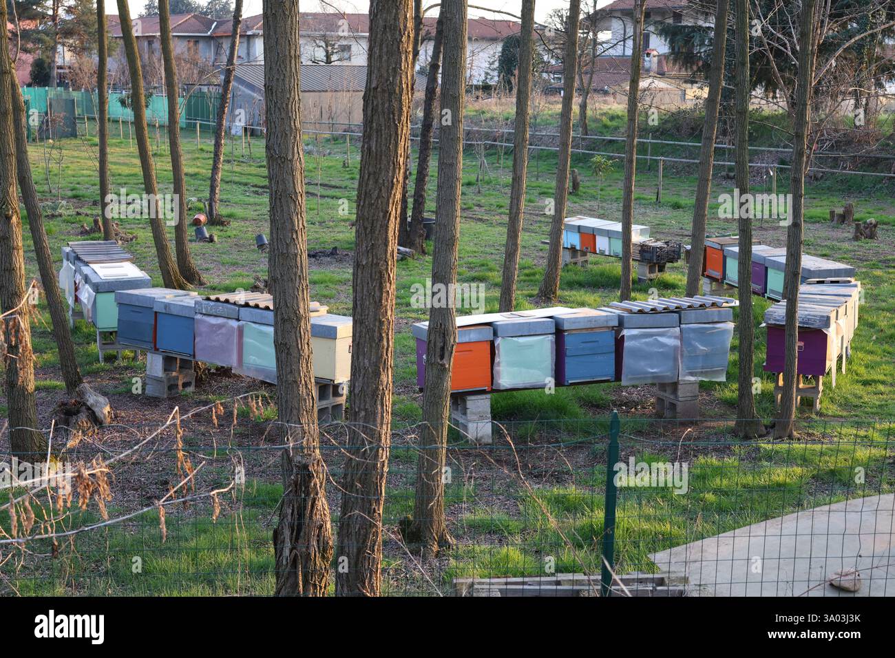 Colorful beehives italy hi-res stock photography and images - Alamy