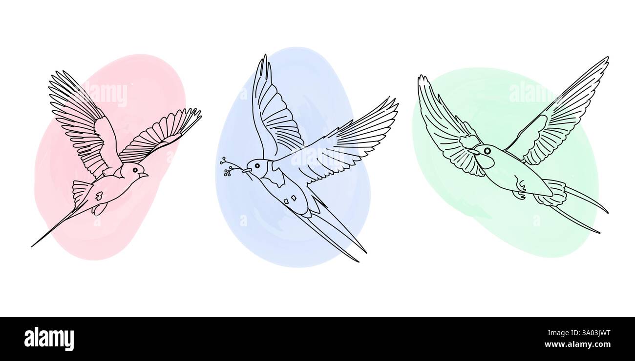 Set of flying swallows. Spring collection of bird on linear style with ...