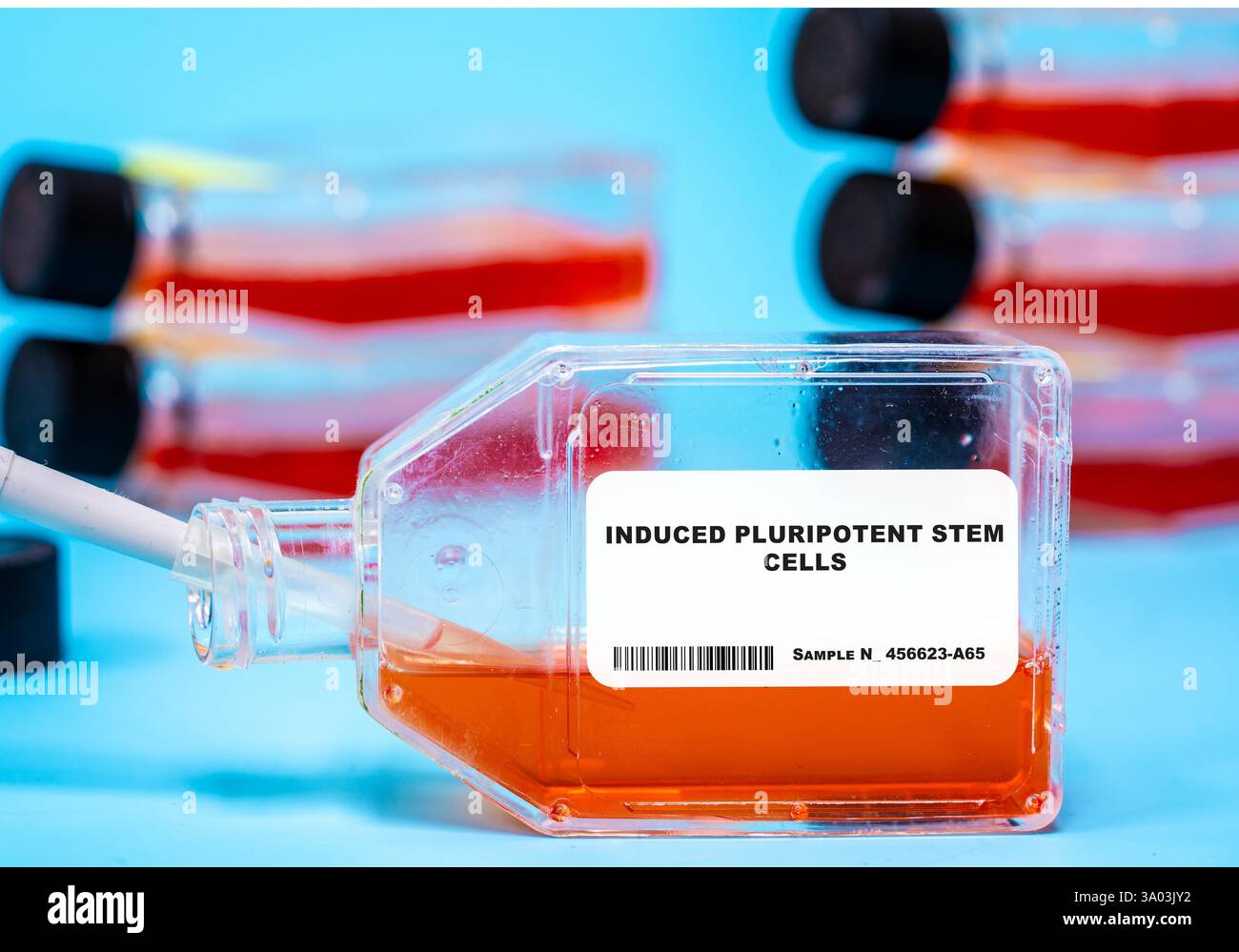 Induced Pluripotent Stem Cells Reprogramming adult cells into stem ...