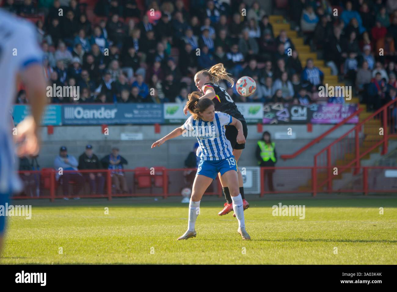 Crawley, UK. 02nd Mar, 2025. Crawley, England, March 2nd 2025 Aggie ...