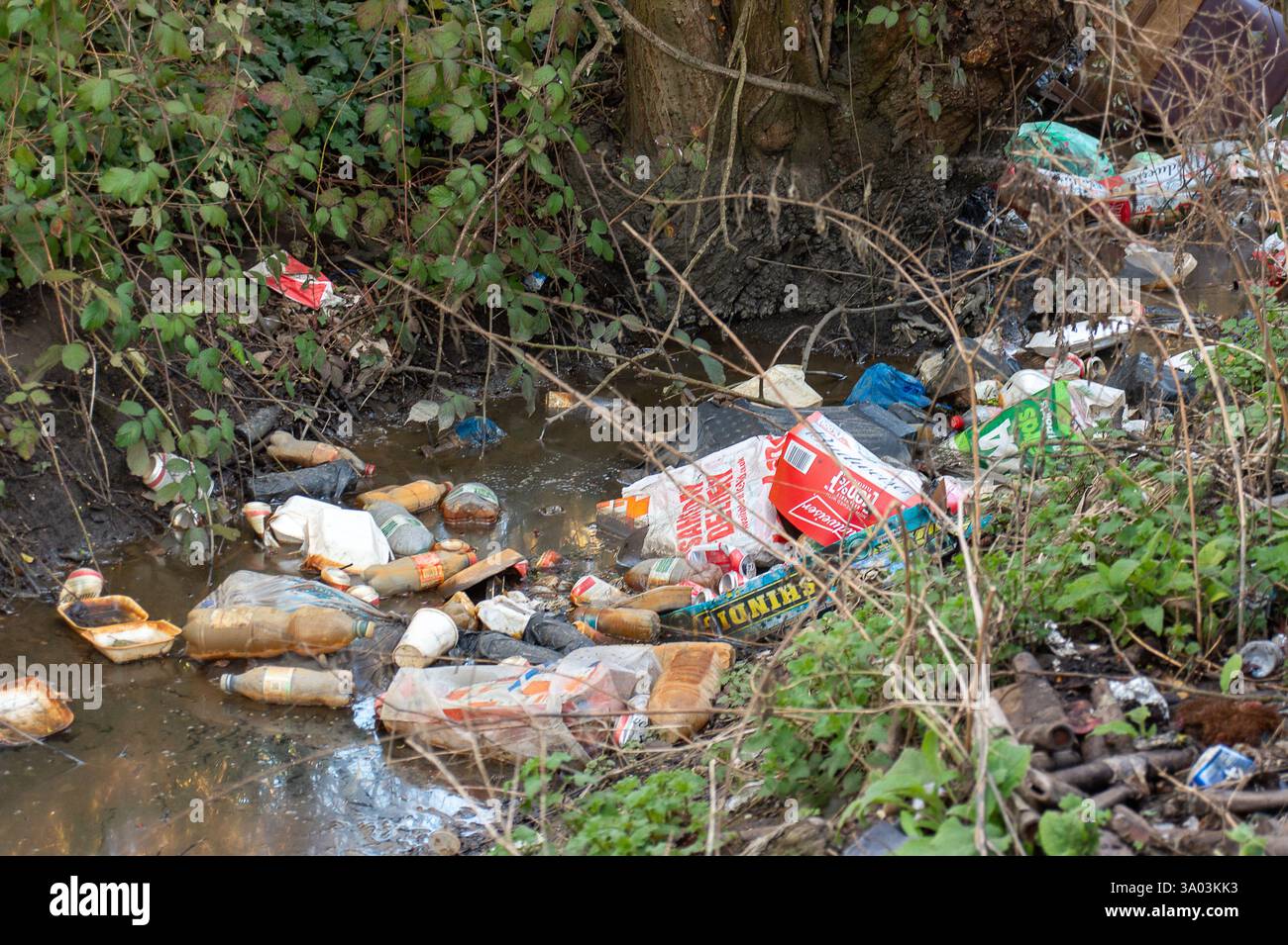 Denham, UK. 13th September, 2024. Plastic bottles and litter in a ...