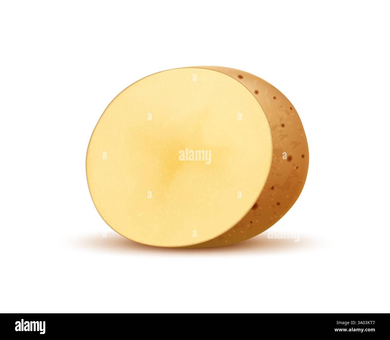 3d realistic organic cut in half potato vegetable. Culinary natural ...