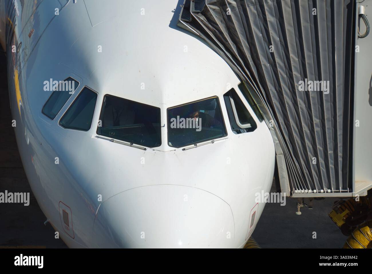 Closeup of white jet cockpit docked at gate to airbridge with view of ...
