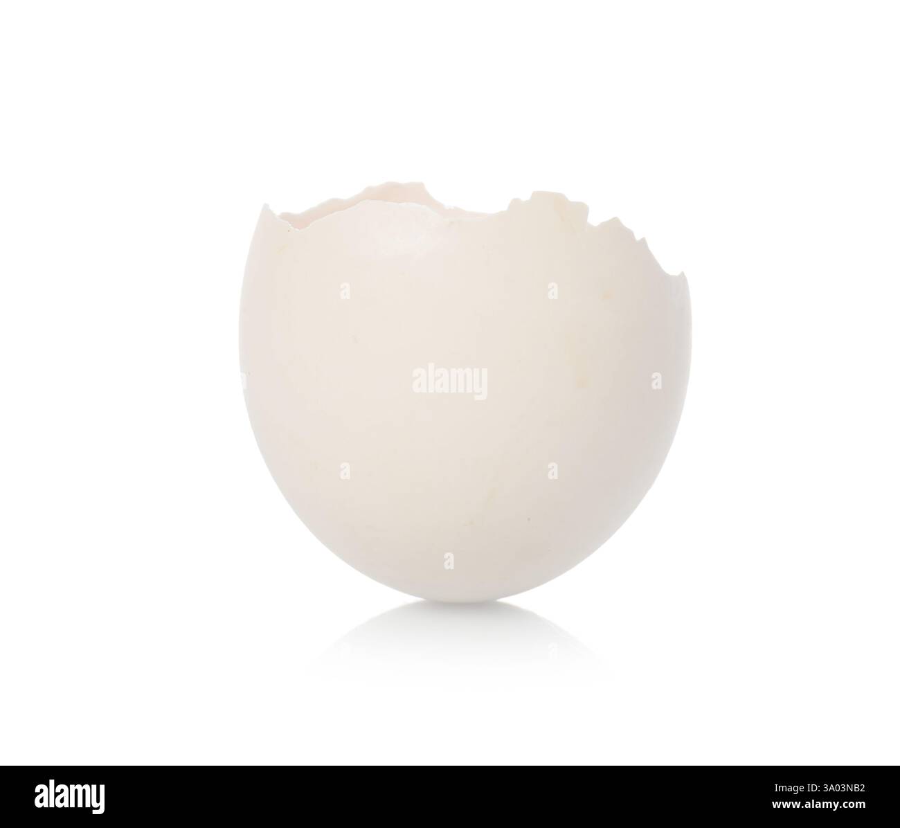 One piece of broken eggshell on mirror surface against white background ...