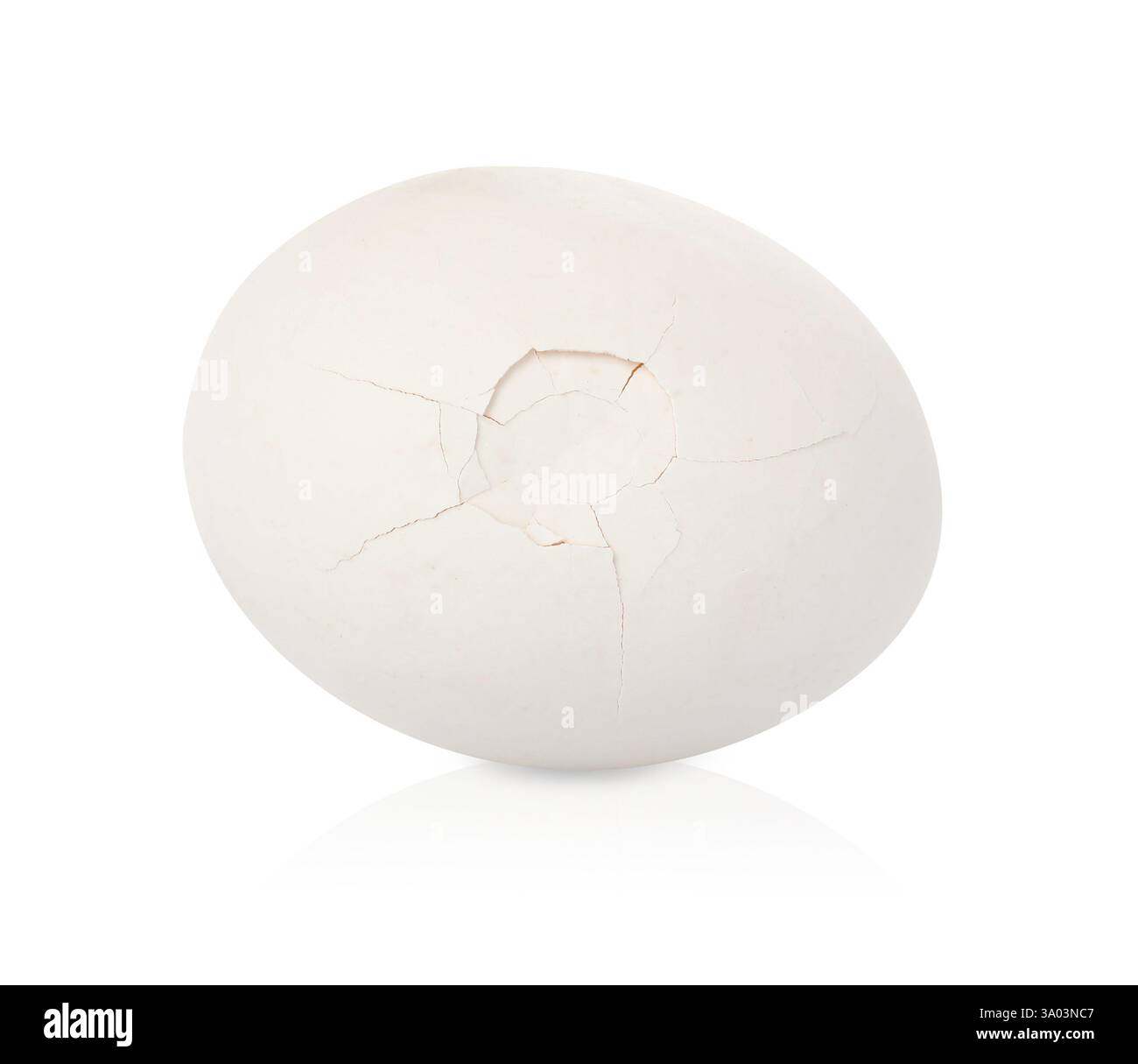 One piece of broken eggshell on mirror surface against white background ...