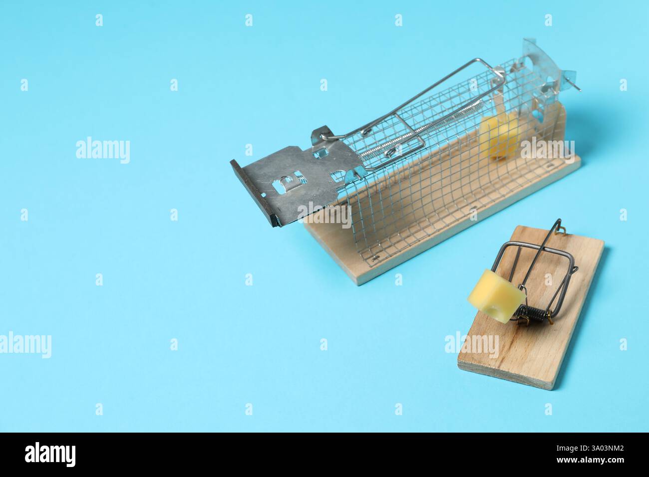 Two different mouse traps with bait on light blue background, space for ...