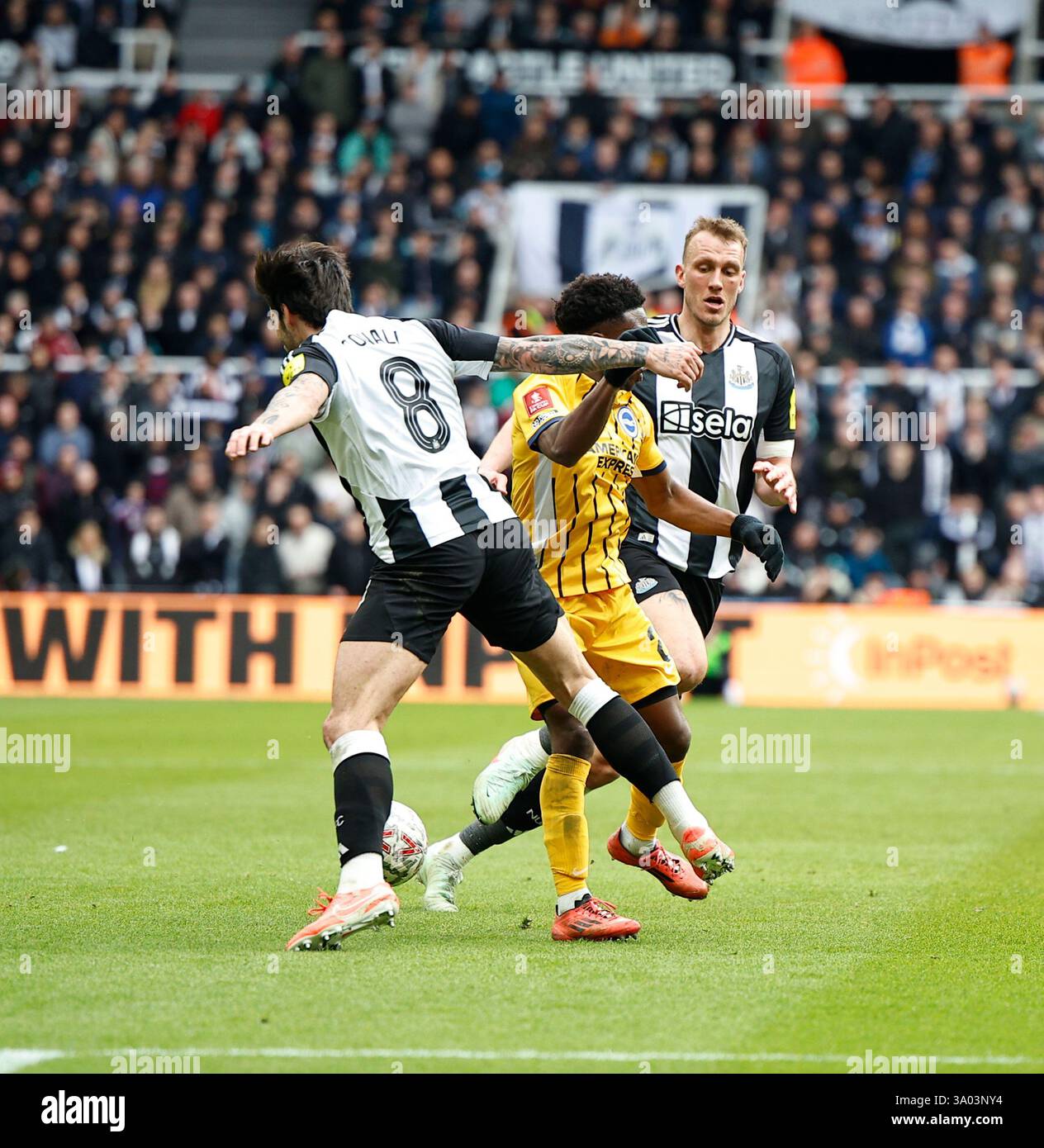 2nd March 2025; St James Park, Newcastle, England; FA Cup Fifth Round ...