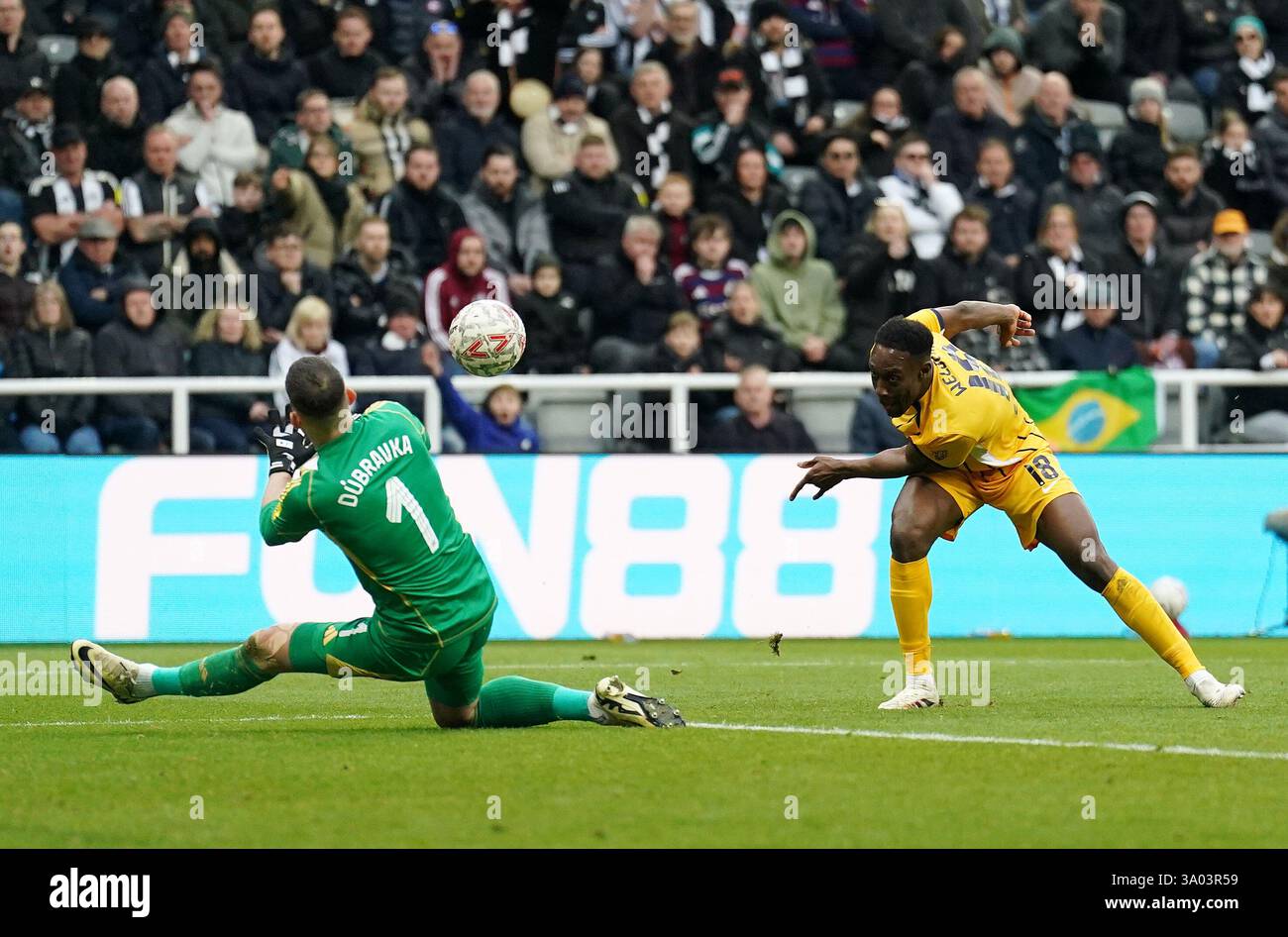 Brighton and Hove Albion's Danny Welbeck (right) scores their side's ...